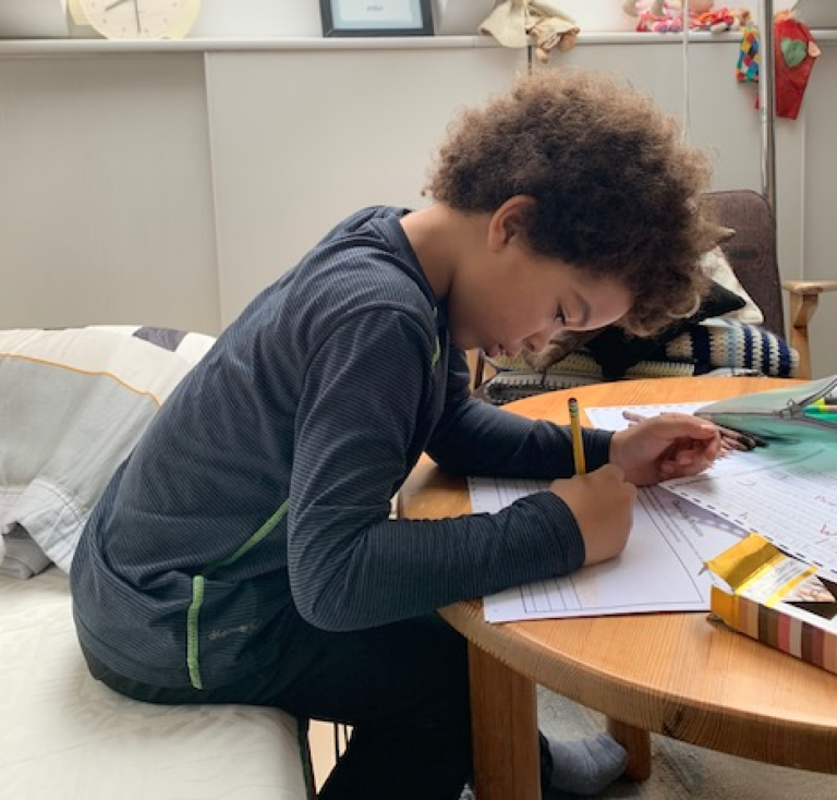 VLACS - The Virtual Learning Academy