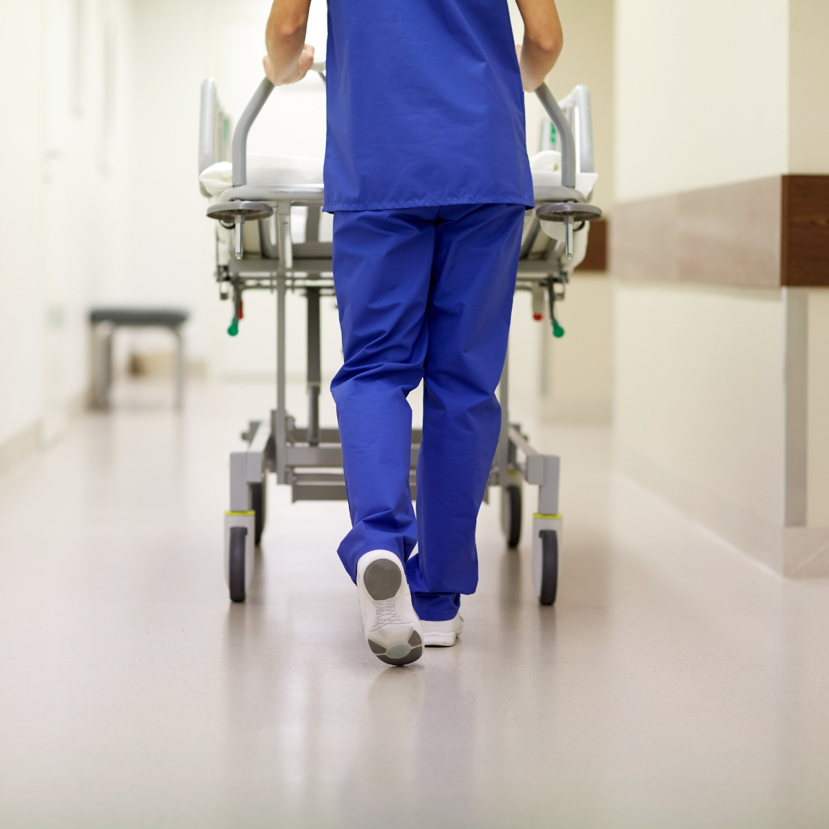 VLACS Outside Expert Directory